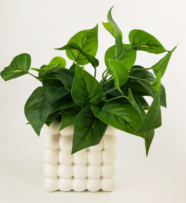 Addie Bubble Pot – Mamo Home