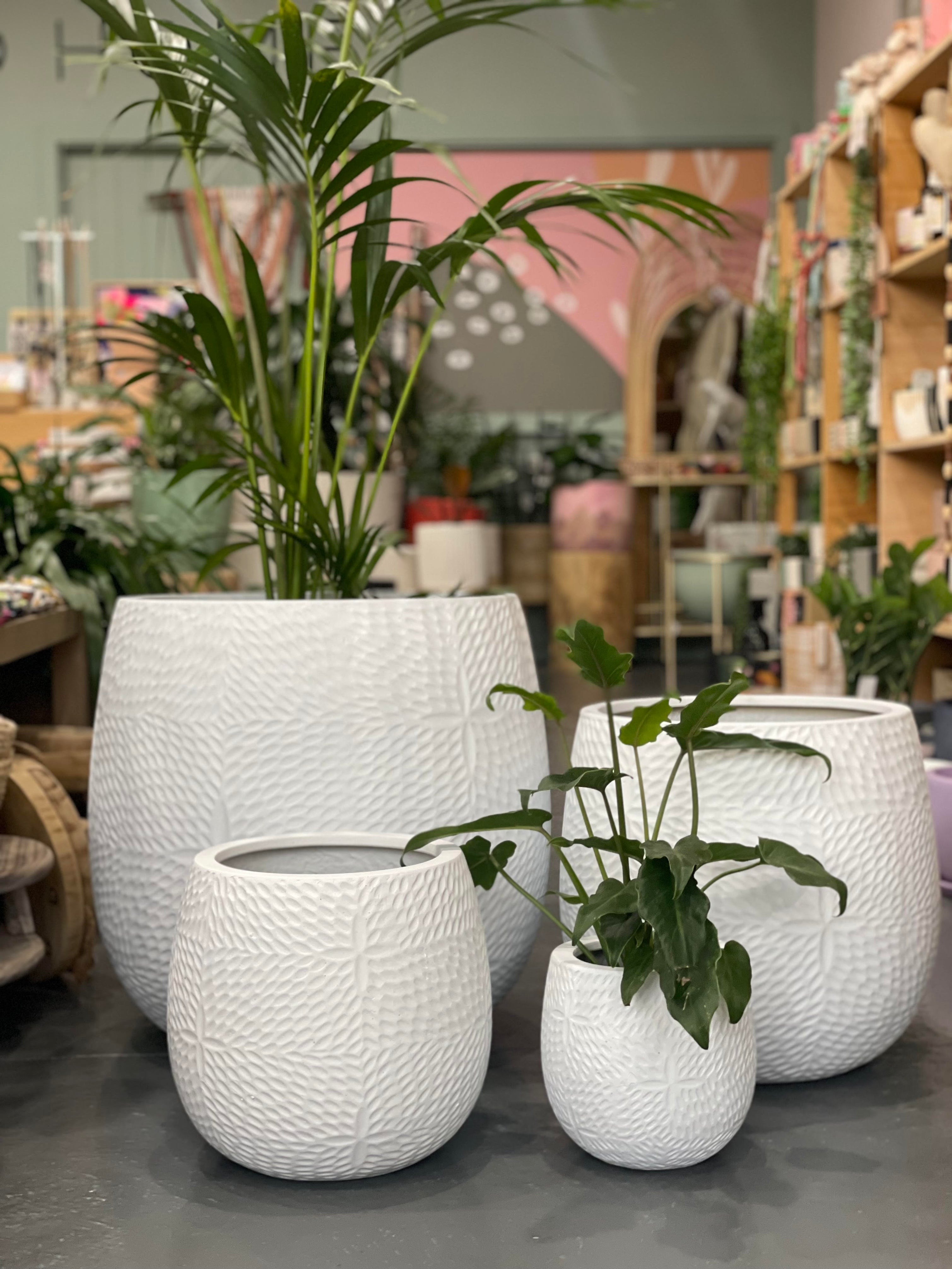 Maui Pattern Pot – Mamo Home