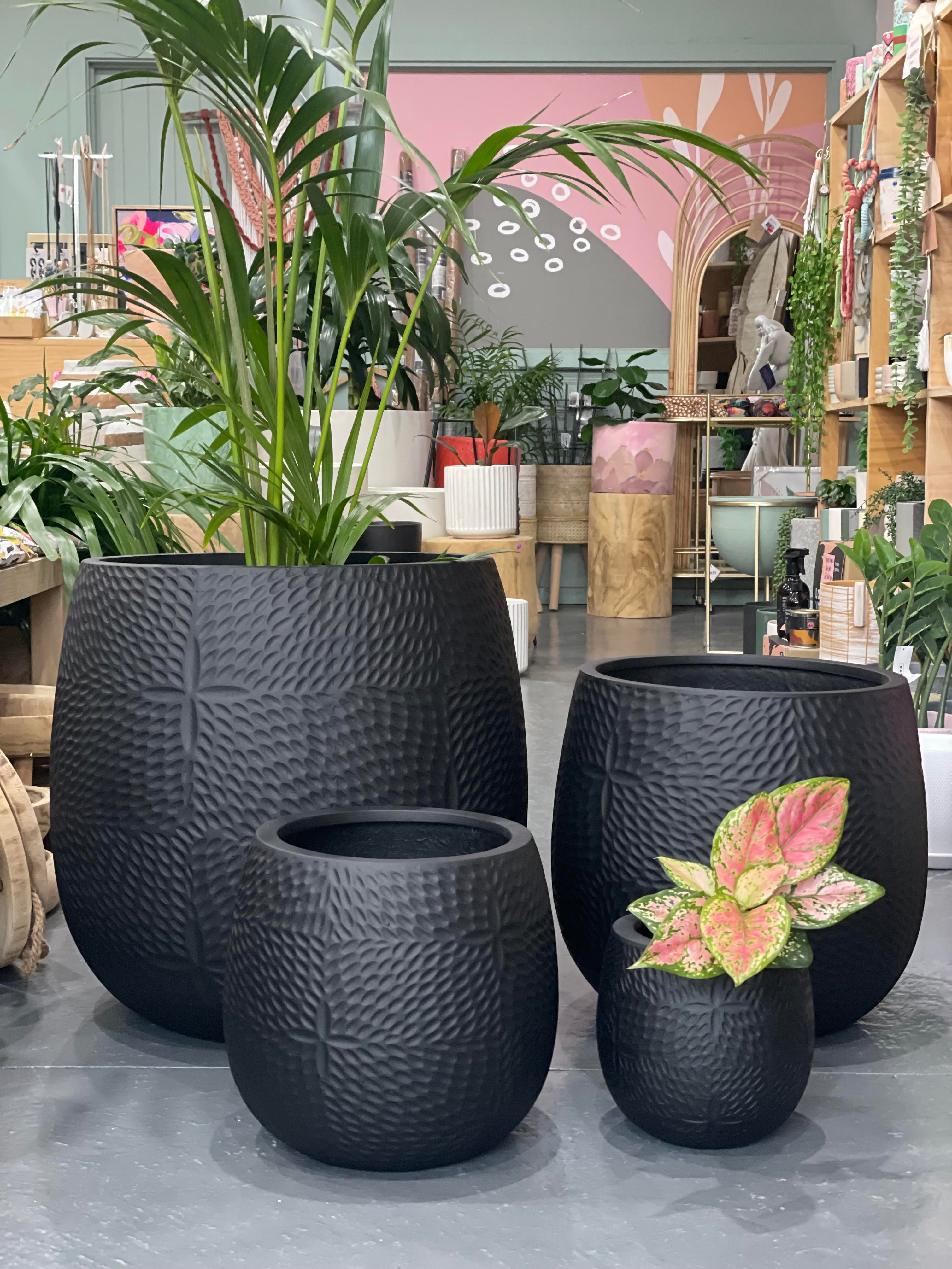 Maui Pattern Pot – Mamo Home