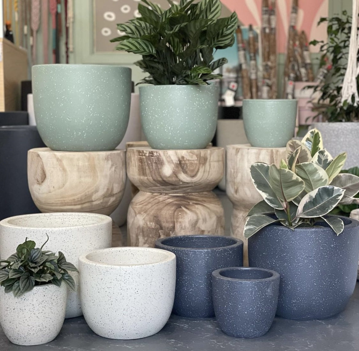 The Charlie – Mamo Home